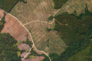 About NGIS | Geospatial Consulting Services