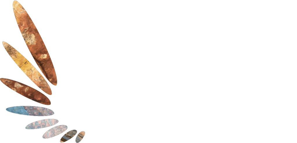 About NGIS | Geospatial Consulting Services