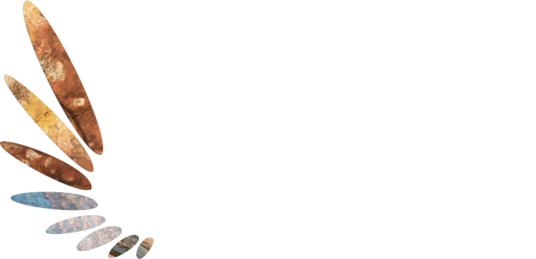 About NGIS | Geospatial Consulting Services