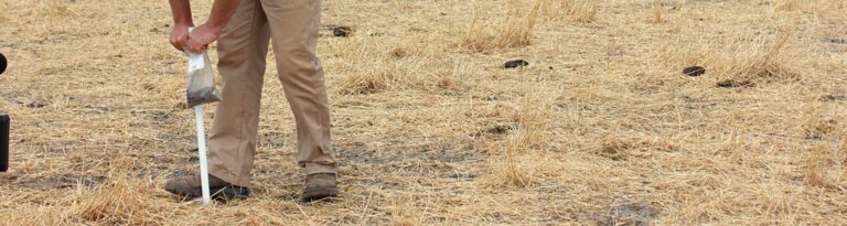 Precision agriculture platform | NGIS