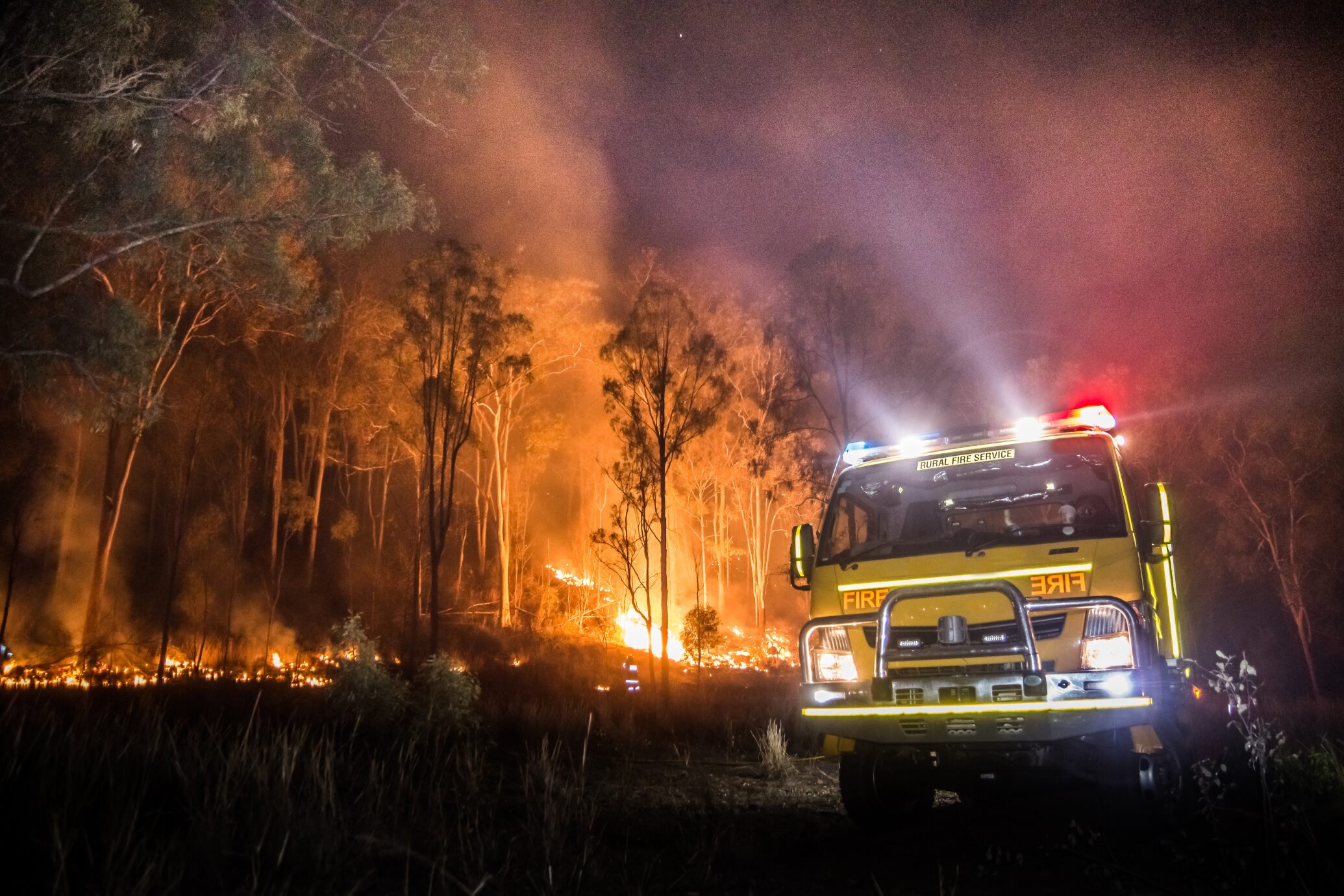 Advanced Vegetation Mapping to Identify Bushfire Hazard Areas | NGIS